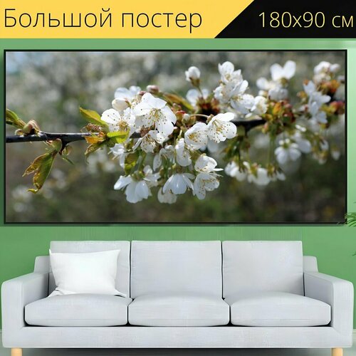 Большой постер "Весна, цвести, фруктовое дерево цветущие" 180 x 90 см. для интерьера