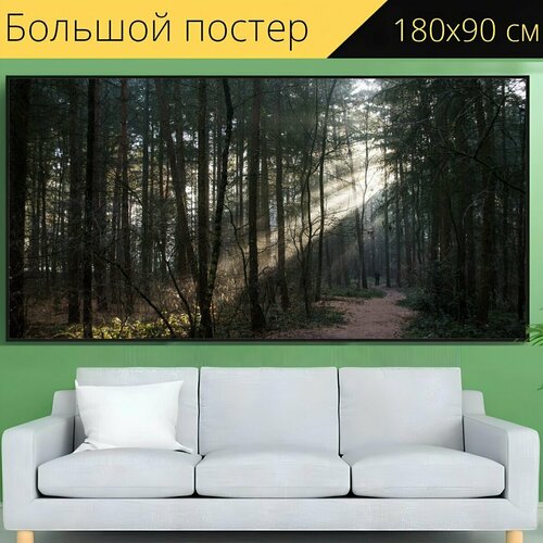 Большой постер "Лес, природа, солнечный свет" 180 x 90 см. для интерьера