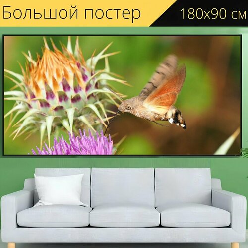 Большой постер "Природа, насекомые, бабочка" 180 x 90 см. для интерьера