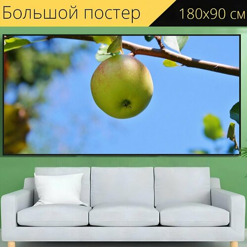 Большой постер "Яблоко, яблоня, фрукты" 180 x 90 см. для интерьера