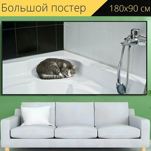 Большой постер "Кот, ванная, душевая лейка" 180 x 90 см. для интерьера