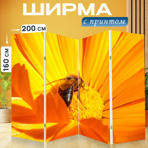 Ширма перегородка с принтом "Насекомое, пчела, пыльца" на холсте - 200x160 см. для зонирования, раскладная