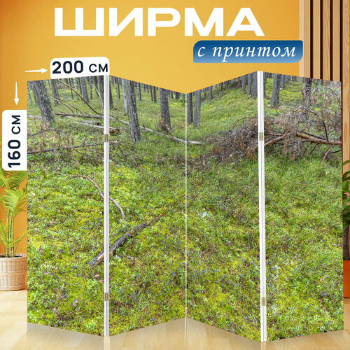 Ширма перегородка с принтом "Лес, деревья, растения" на холсте - 200x160 см. для зонирования, раскладная