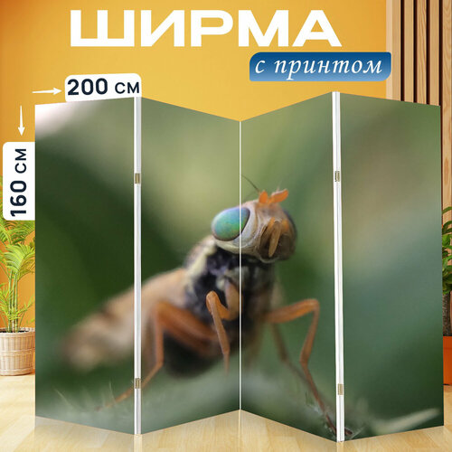 Ширма перегородка с принтом "Летать, насекомое, лист" на холсте - 200x160 см. для зонирования, раскладная