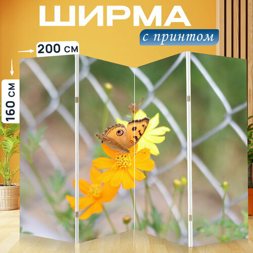 Ширма перегородка с принтом "Бабочка, цветок, колосниковая решетка" на холсте - 200x160 см. для зонирования, раскладная