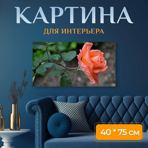 Картина на холсте "Цвести, розы, цветок" на подрамнике 75х40 см. для интерьера