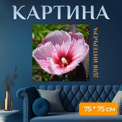 Картина на холсте "Гибискус, цветок, завод" на подрамнике 75х75 см. для интерьера