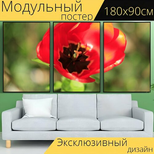 Модульный постер "Тюльпан, весна, расцветает" 180 x 90 см. для интерьера