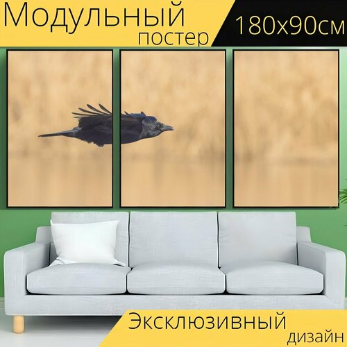 Модульный постер "Птица, полет, ворона" 180 x 90 см. для интерьера