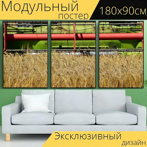 Модульный постер "Уборка урожая, урожай зерна, сельское хозяйство" 180 x 90 см. для интерьера