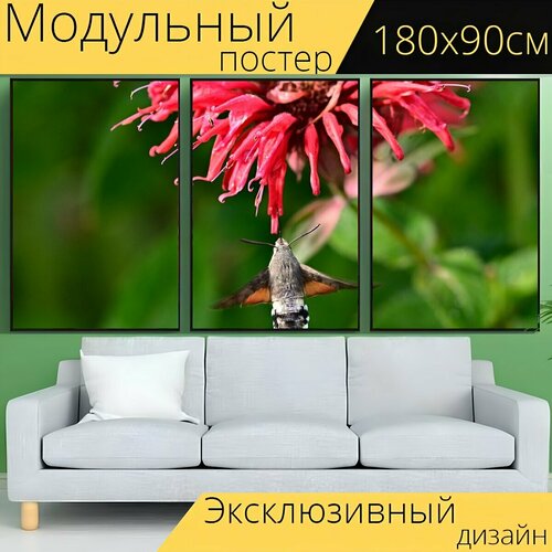 Модульный постер "Колибри ястреб моли, сад, совы" 180 x 90 см. для интерьера