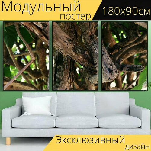 Модульный постер "Природа, древесина, дерево" 180 x 90 см. для интерьера