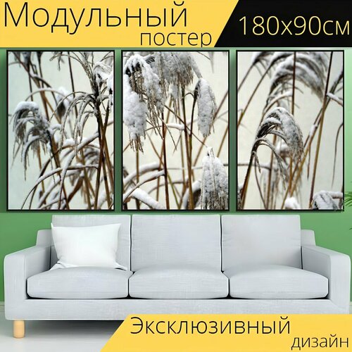 Модульный постер "Снег, травы, зима" 180 x 90 см. для интерьера