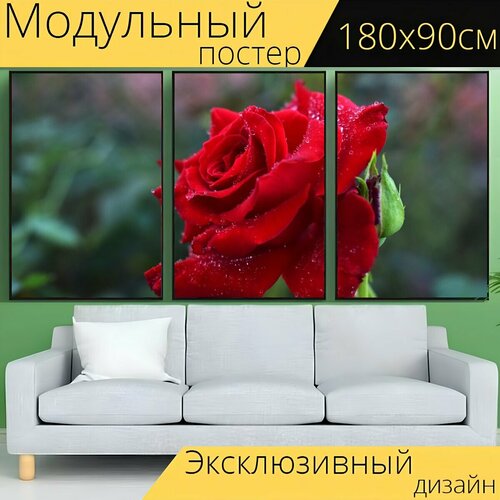 Модульный постер "Роза, розы, красный" 180 x 90 см. для интерьера