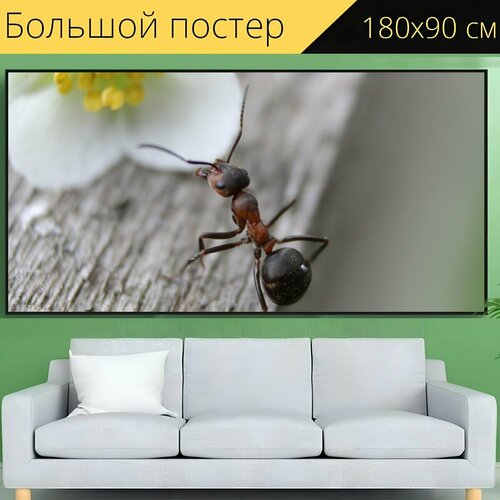 Большой постер "Муравей, муравьи, природа" 180 x 90 см. для интерьера