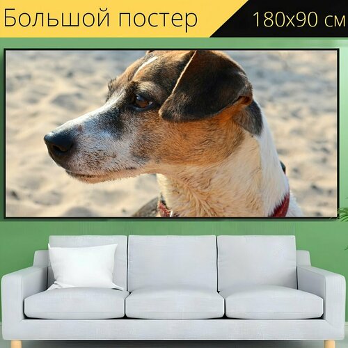 Большой постер "Собака, терьер, пляж" 180 x 90 см. для интерьера