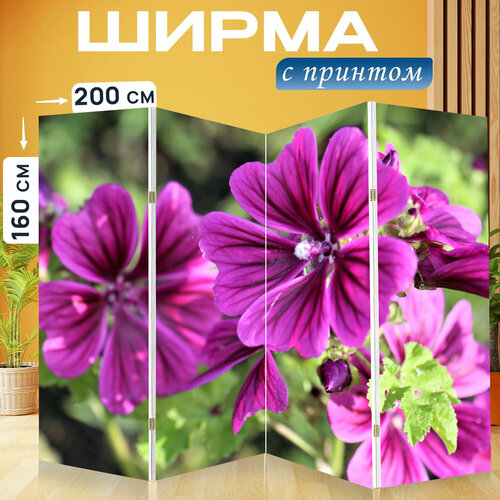 Ширма перегородка с принтом "Цветы луга, фиолетовый, весна" на холсте - 200x160 см. для зонирования, раскладная