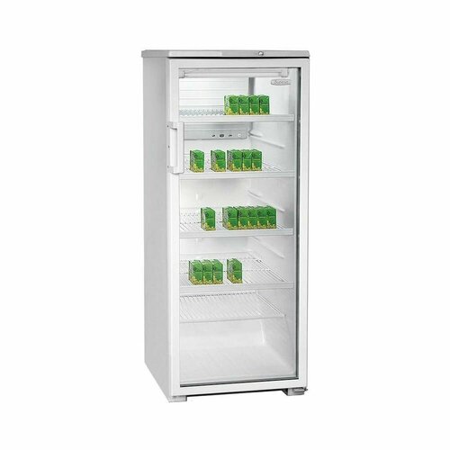 Холодильник-витрина Бирюса Б-290