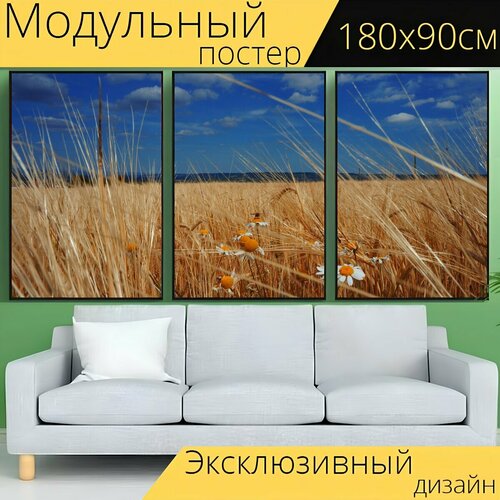 Модульный постер "Поле, зерно, пшеница" 180 x 90 см. для интерьера