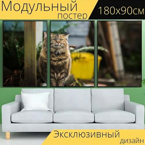 Модульный постер "Восхитительный, животное, кошка" 180 x 90 см. для интерьера