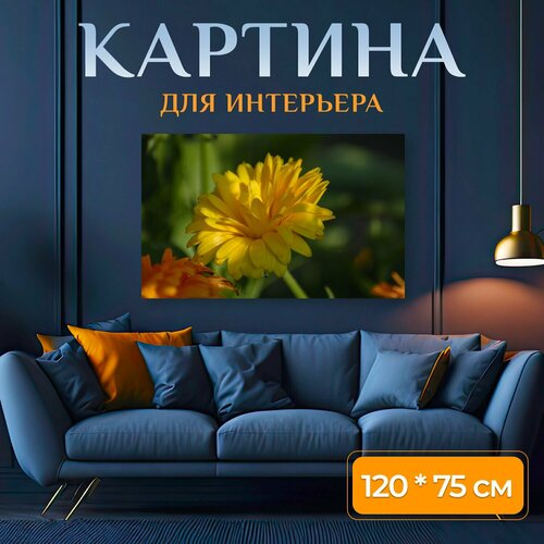 Картина на холсте "Ноготки, сад, бархатцы" на подрамнике 120х75 см. для интерьера