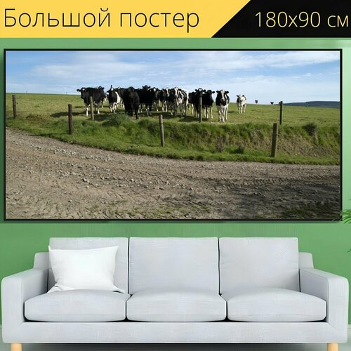 Большой постер "Коровы, ферма, крупный рогатый скот" 180 x 90 см. для интерьера