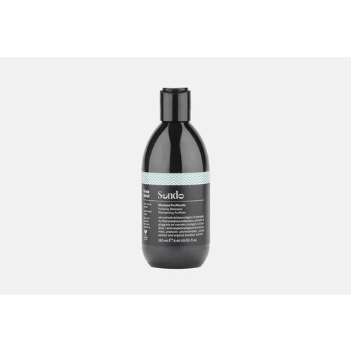 Глубоко очищающий шампунь для волос Sendo concept Purifying Shampoo 250 мл