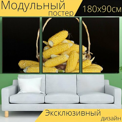 Модульный постер "Кукуруза, еда, сладкая кукуруза" 180 x 90 см. для интерьера