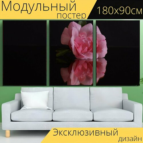 Модульный постер "Розовый, цветок, весна" 180 x 90 см. для интерьера