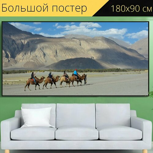Большой постер "Верблюд, долина, гора" 180 x 90 см. для интерьера