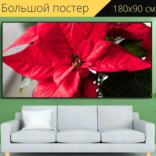 Большой постер "Рождественская звезда, завод, красный цветок" 180 x 90 см. для интерьера