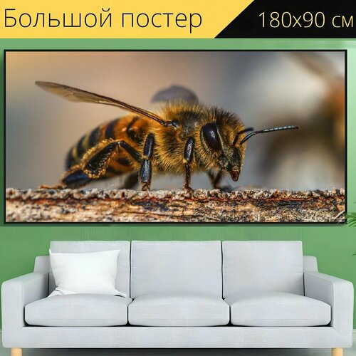 Большой постер "Насекомое, пчела, медовый" 180 x 90 см. для интерьера