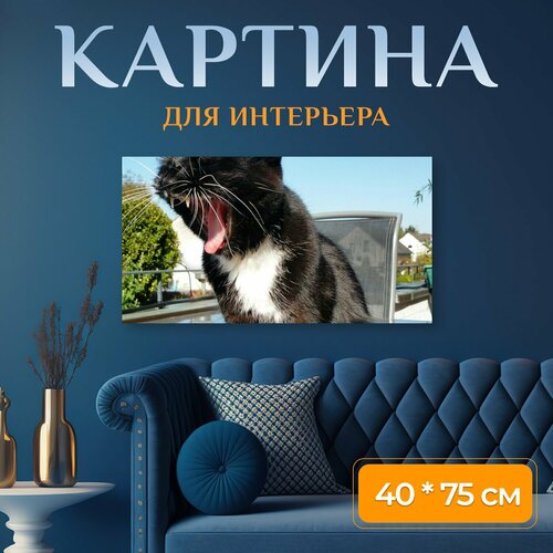 Картина на холсте "Кот, молодой кот, домашняя кошка" на подрамнике 75х40 см. для интерьера