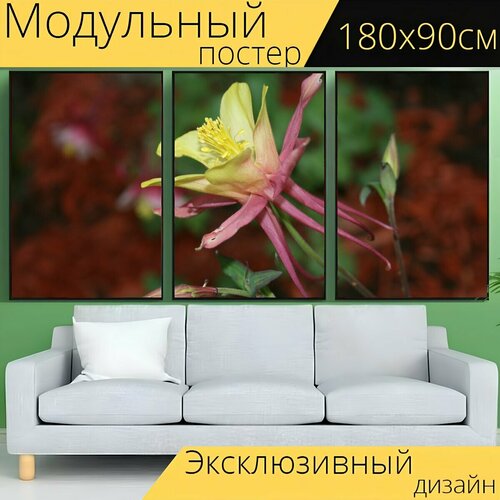 Модульный постер "Сад, цветок, природа" 180 x 90 см. для интерьера