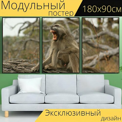 Модульный постер "Животные, обезьяны, дикая жизнь" 180 x 90 см. для интерьера