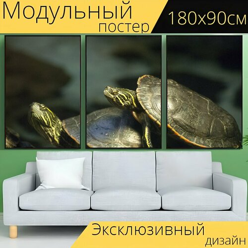 Модульный постер "Черепаха, животное, дикая природа" 180 x 90 см. для интерьера