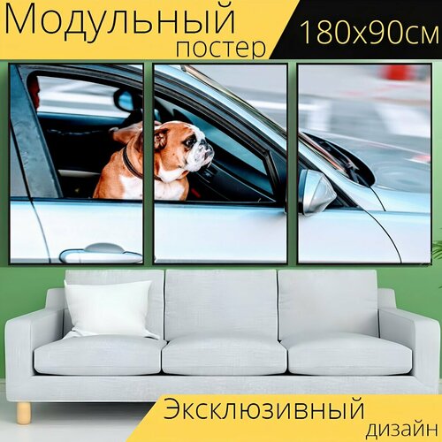 Модульный постер "Мопс, собака, домашний питомец" 180 x 90 см. для интерьера