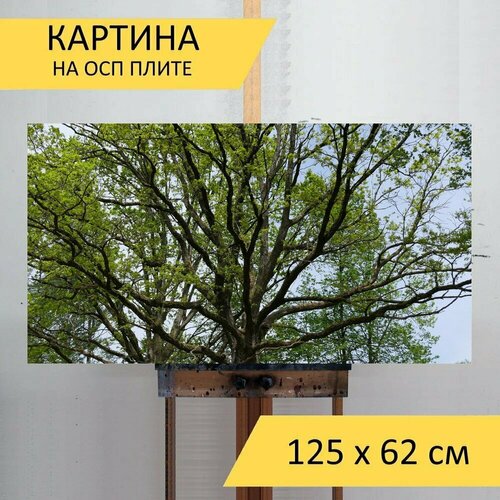 Картина на ОСП 125х62 см. "Дуб, дерево, природа" горизонтальная, для интерьера, с креплениями