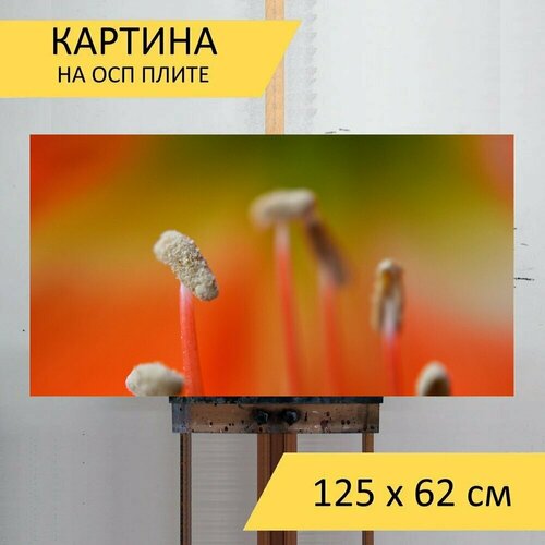 Картина на ОСП 125х62 см. "Цветок, оранжевый цветок, макрос" горизонтальная, для интерьера, с креплениями