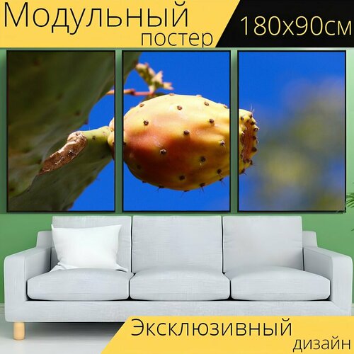 Модульный постер "Опунция, кактус, фрукты" 180 x 90 см. для интерьера