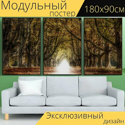 Модульный постер "Проспект, деревья, дорожка" 180 x 90 см. для интерьера
