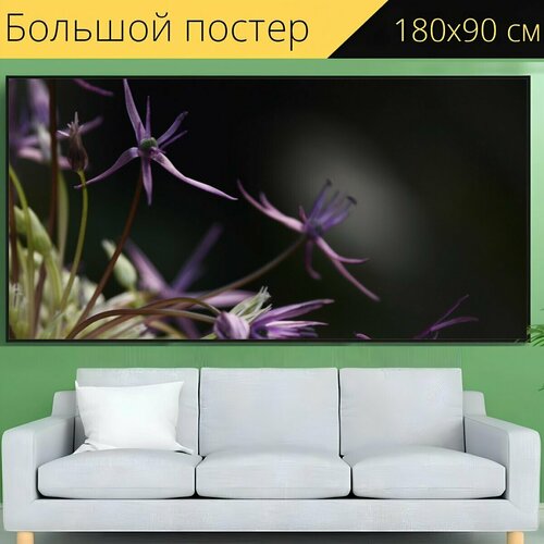 Большой постер "Цветок, фиолетовый, сад" 180 x 90 см. для интерьера