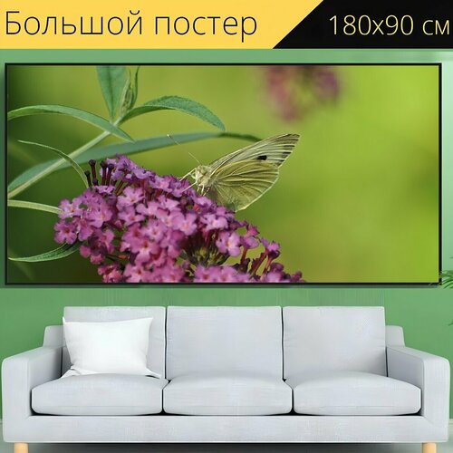 Большой постер "Бабочка, капустница, цветы" 180 x 90 см. для интерьера