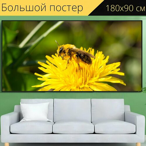 Большой постер "Пчела, цветочная пыльца, медовый" 180 x 90 см. для интерьера