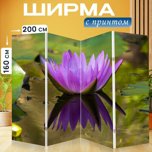 Ширма перегородка с принтом "Водяная лилия, цветок лотоса, лилии" на холсте - 200x160 см. для зонирования, раскладная