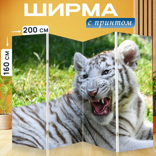 Ширма перегородка с принтом "Тигр, белый тигр, детеныш" на холсте - 200x160 см. для зонирования, раскладная
