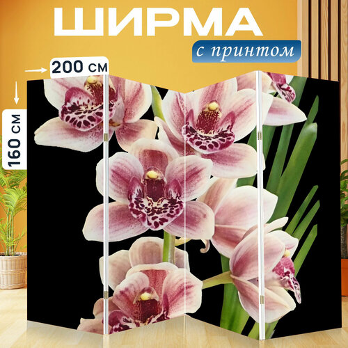 Ширма перегородка с принтом "Цветы, орхидея, розовый" на холсте - 200x160 см. для зонирования, раскладная