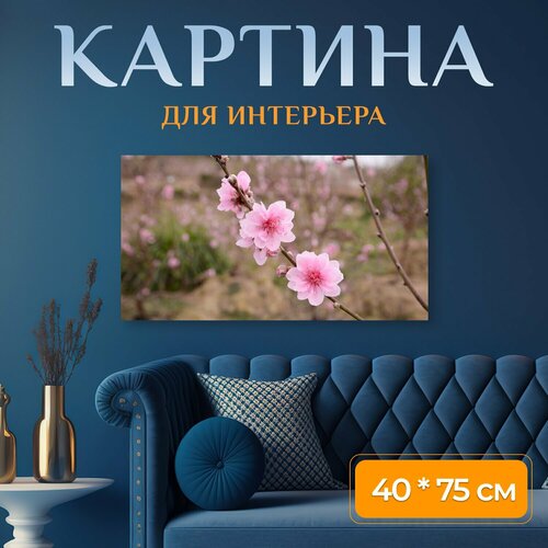 Картина на холсте "Персик, персиковый цветок, цветок" на подрамнике 75х40 см. для интерьера