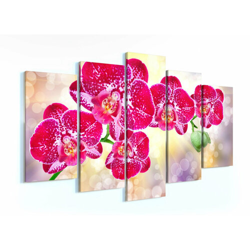Модульная картина «Розовые орхидеи» 140х80 / Интерьерные картины на стену / Модульные картины на стену