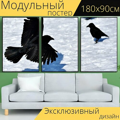 Модульный постер "Обыкновенный ворон, ворона, снег" 180 x 90 см. для интерьера